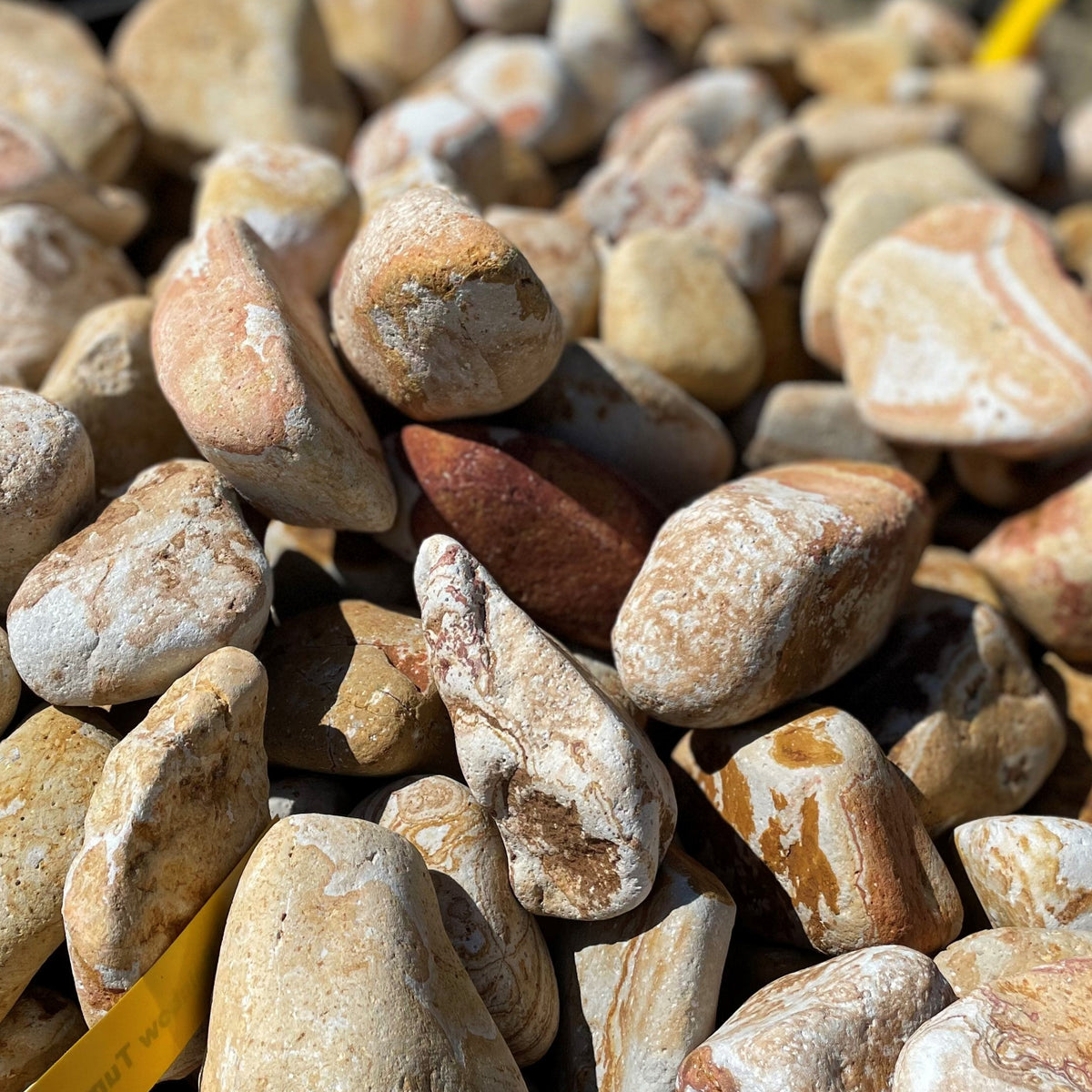 Royal Rainbow Tumbled – Liberty Landscape Supply